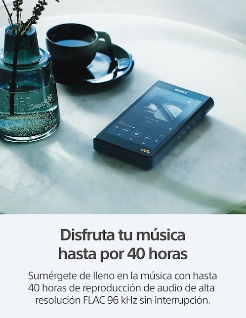 Reproductor portátil Sony NW-WM1AM2 3
